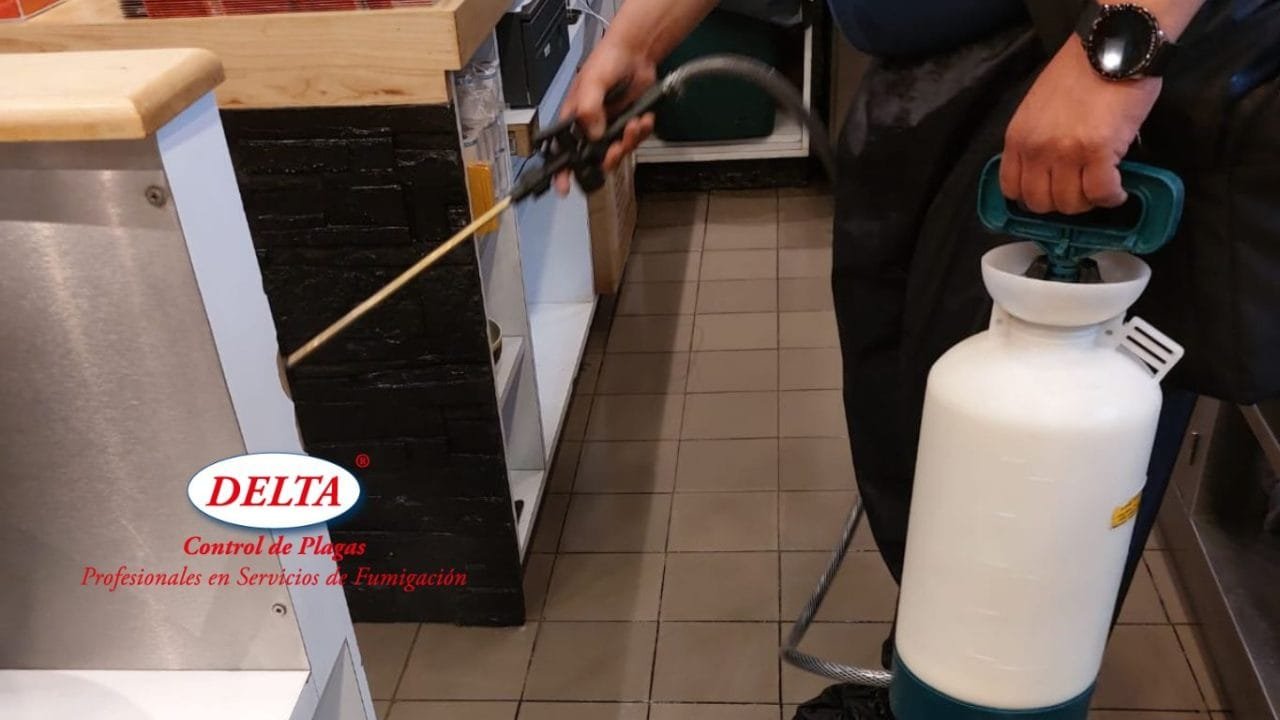 Fumigación de hormigas: La técnica definitiva que debes usar...